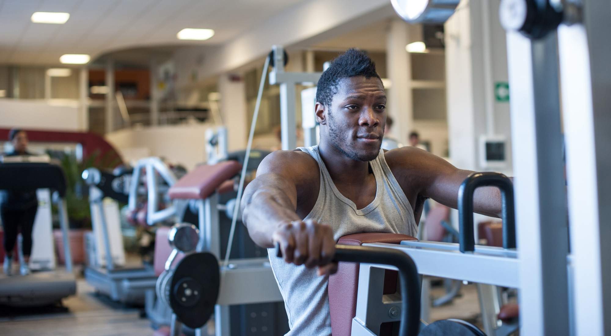 An Introduction to Gym Fitness: How to Work Out at the Gym For the ...